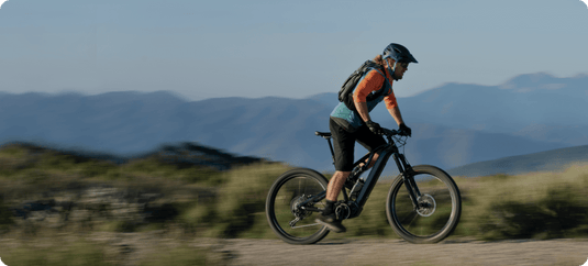 Tienda Oficial – RAM Bikes México