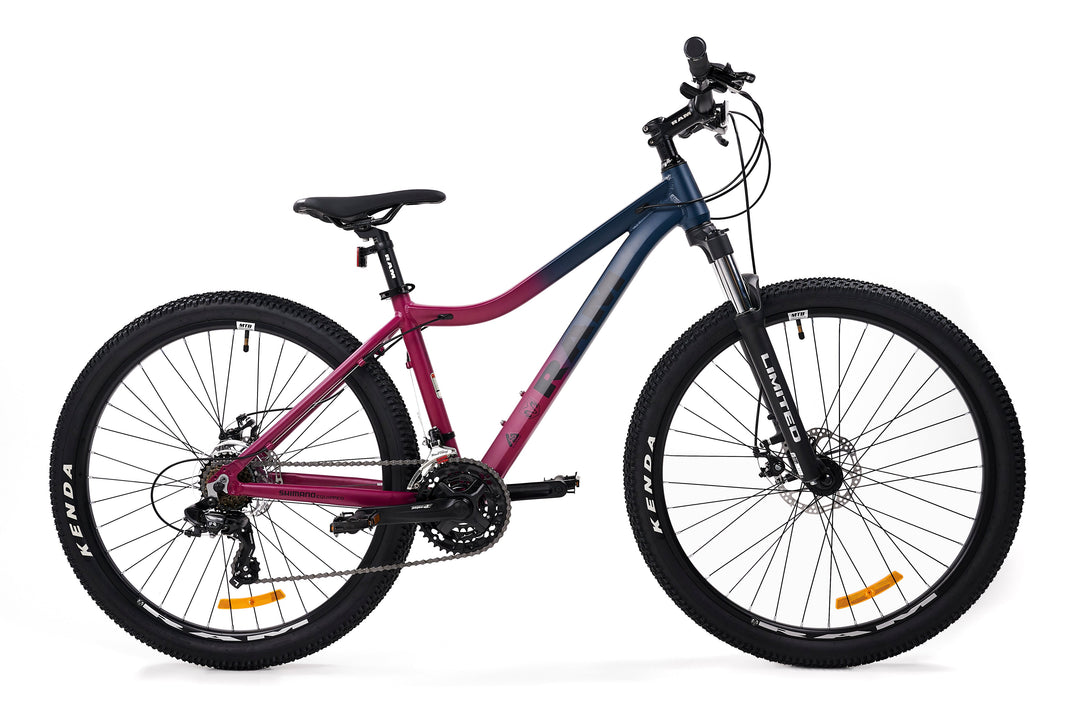 RAM Bikes México – BICIRAM